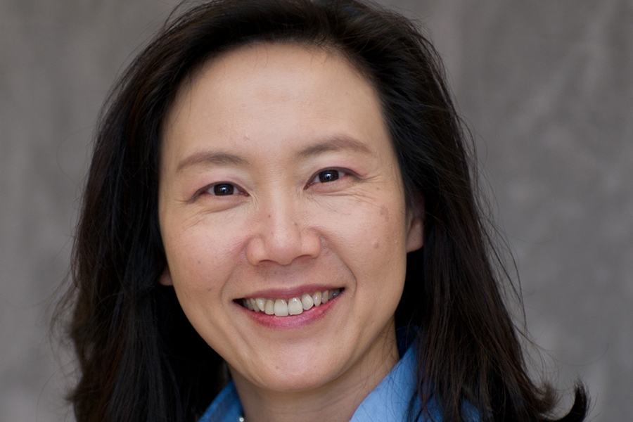 Huang Appointed Turnipseed Family Chair Huang Appointed Turnipseed Family Chair